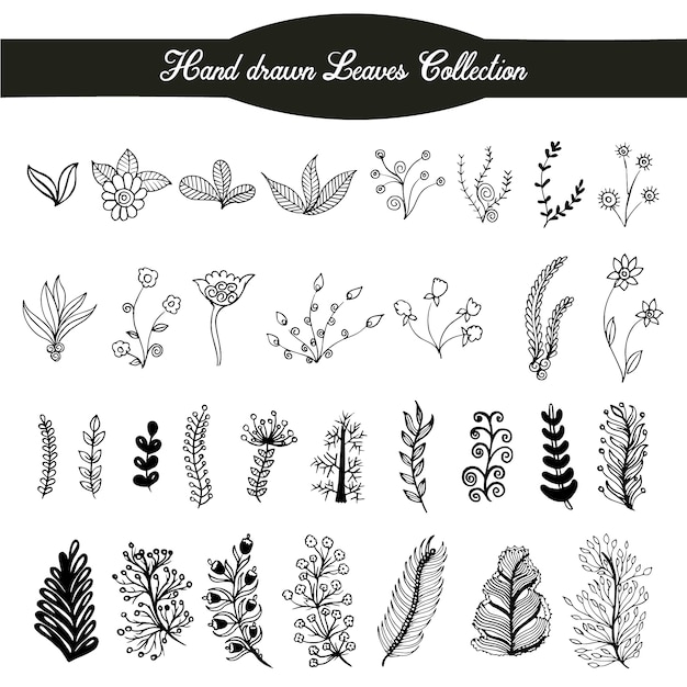 Free Vector | Hand drawn leaves collection Free Vector | Hand drawn leaves collection