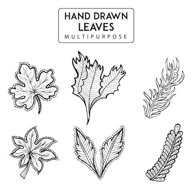 Premium Vector | Hand drawn leaves Premium Vector | Hand drawn leaves