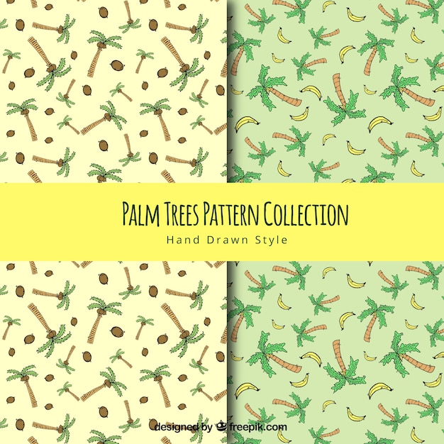 Hand drawn palm tree patterns | Free Vector Hand drawn palm tree patterns | Free Vector