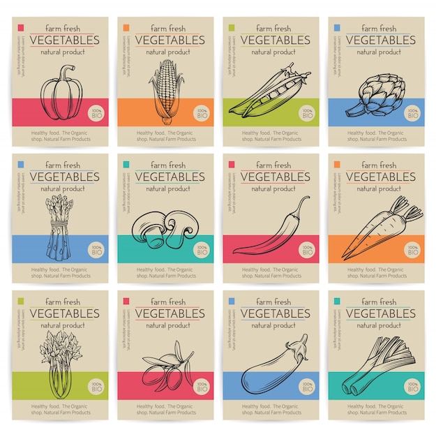 Premium Vector | Hand drawn vegetables posters set. Premium Vector | Hand drawn vegetables posters set.