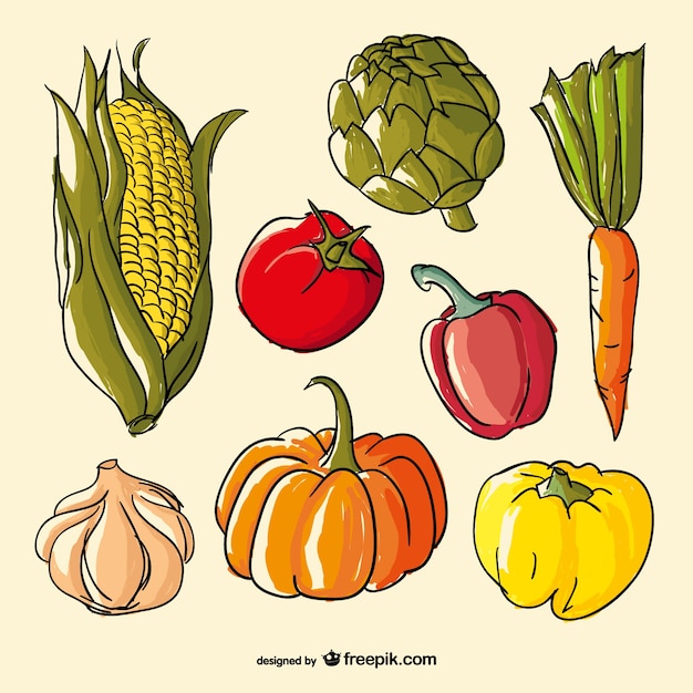 Free Vector | Hand drawn vegetables Free Vector | Hand drawn vegetables