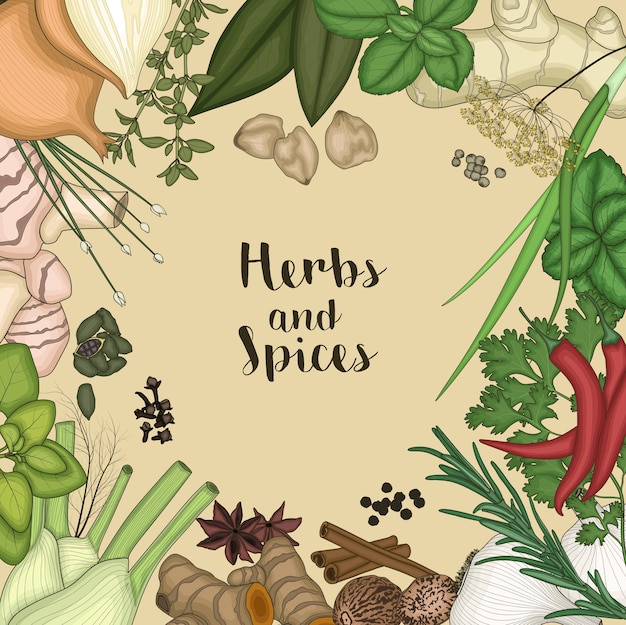 Premium Vector | Illustration of herbs and spices Premium Vector | Illustration of herbs and spices