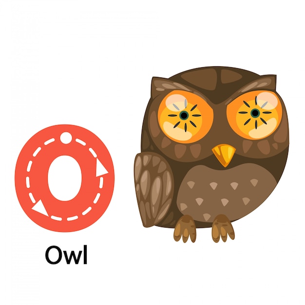 Premium Vector | Illustration isolated alphabet letter o-owl Premium Vector | Illustration isolated alphabet letter o-owl