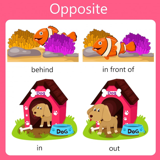 Premium Vector | Illustrator opposite set in and out Premium Vector | Illustrator opposite set in and out
