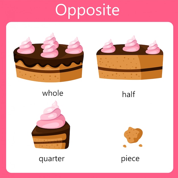 Premium Vector | Illustrator opposite set whole half quarter and piece Premium Vector | Illustrator opposite set whole half quarter and piece