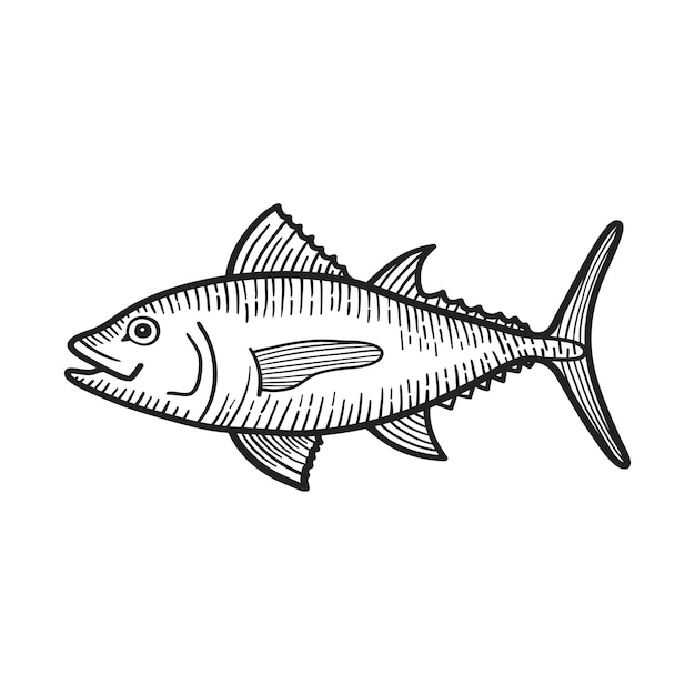 Premium Vector | Ink sketch of tuna. hand drawn. vector illustration. Premium Vector | Ink sketch of tuna. hand drawn. vector illustration.