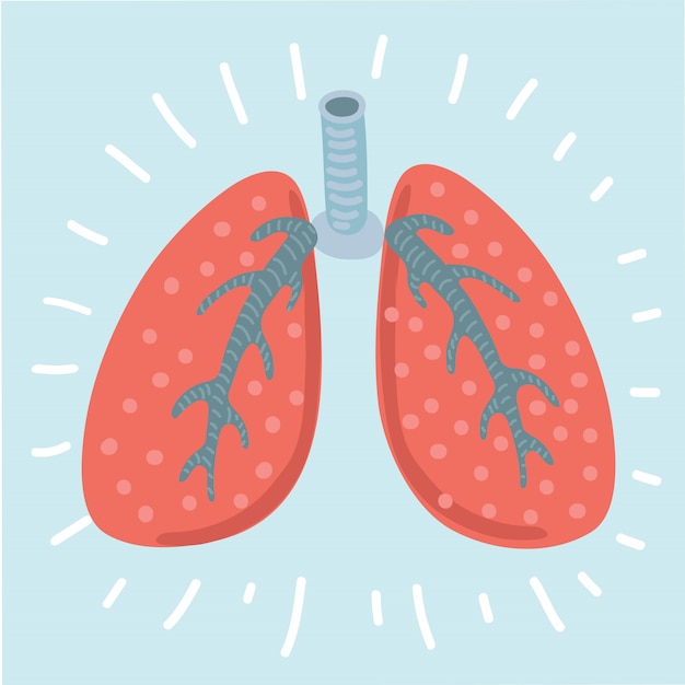 Premium Vector | Lungs icon Premium Vector | Lungs icon