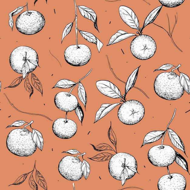Premium Vector | Mandarin. seamless pattern. sketch illustration set ... Premium Vector | Mandarin. seamless pattern. sketch illustration set ...