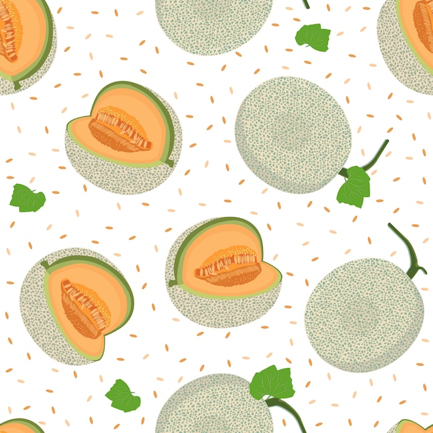 Premium Vector | Melon whole seamless pattern Premium Vector | Melon whole seamless pattern