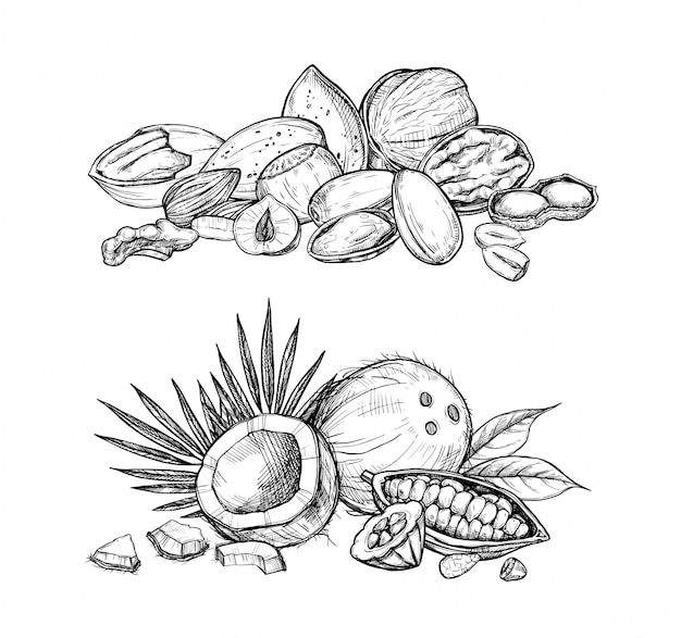 Nuts mix isolated on white . | Premium Vector Nuts mix isolated on white . | Premium Vector