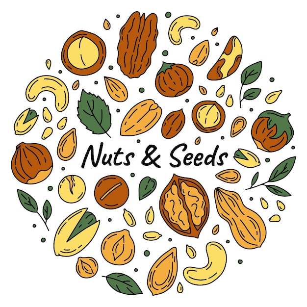 Premium Vector | Nuts and seeds set of icons in the doodle style ... Premium Vector | Nuts and seeds set of icons in the doodle style ...