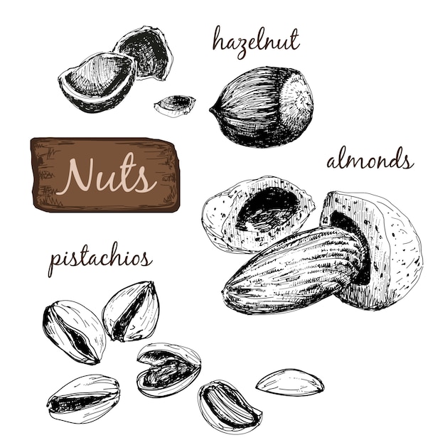 Premium Vector | Nuts. set of illustrations. Premium Vector | Nuts. set of illustrations.