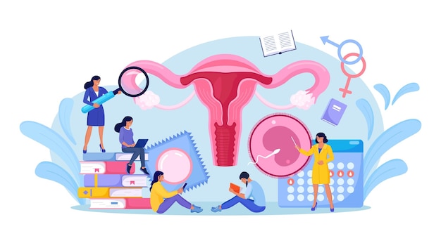 사람들은 성교육을 공부하고 있습니다 인간 생물학 및 해부학 수업 청소년을 위한 성 건강 수업 피임과 여성의 생식 기관 신체 내부 장기 섹슈얼리티와 젠더 프리미엄 벡터
