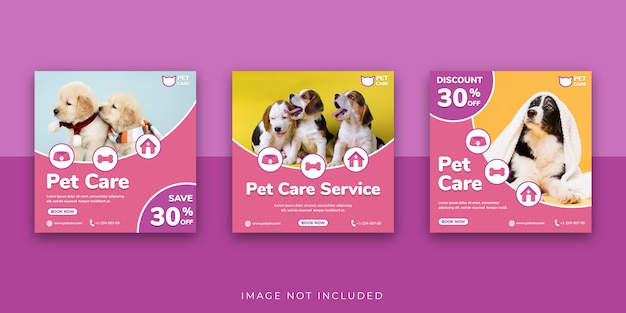 Premium Vector | Pet care social media post template Premium Vector | Pet care social media post template