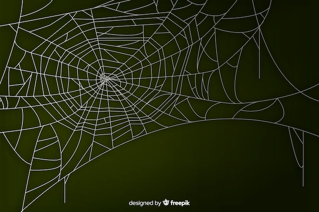 Free Vector | Realistic cobweb with gradient Free Vector | Realistic cobweb with gradient
