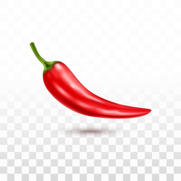 Premium Vector | Realistic red chili Premium Vector | Realistic red chili