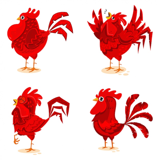 Red roosters vector cartoon characters set isolated | Premium Vector Red roosters vector cartoon characters set isolated | Premium Vector