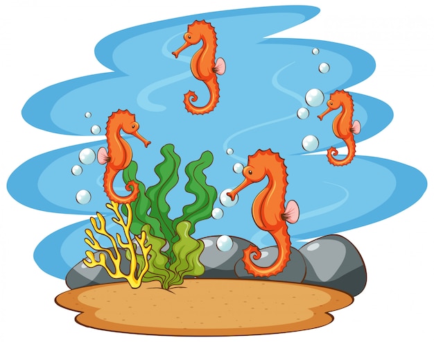 Free Vector | Scene with seahorses in the ocean Free Vector | Scene with seahorses in the ocean