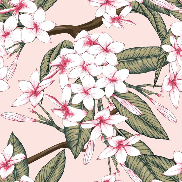 Premium Vector Seamless Floral Pattern Pink Color Frangipani Flowers