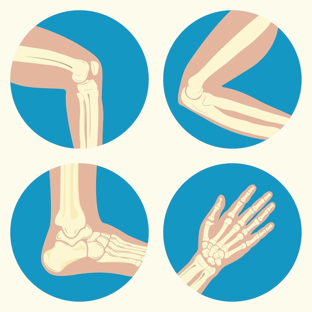 Premium Vector | Set of human joints knee joint elbow joint ankle joint ... Premium Vector | Set of human joints knee joint elbow joint ankle joint ...