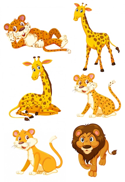 Premium Vector | Set of yellow animal Premium Vector | Set of yellow animal
