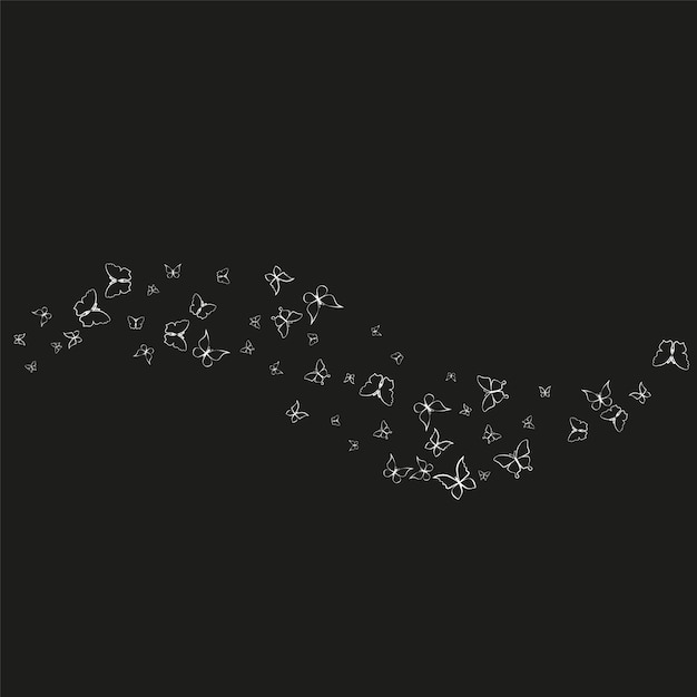 Premium Vector Silhouette Beautiful Butterflies Isolated On A White Eps