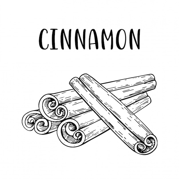 Premium Vector | Sketch hand drawn cinnamon Premium Vector | Sketch hand drawn cinnamon