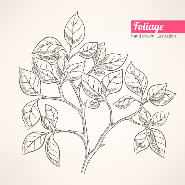 Premium Vector | Spring hand-drawn twig Premium Vector | Spring hand-drawn twig