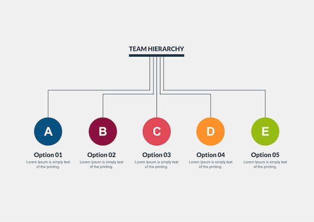 Premium Vector | Team hierarchy timeline infographic Premium Vector | Team hierarchy timeline infographic