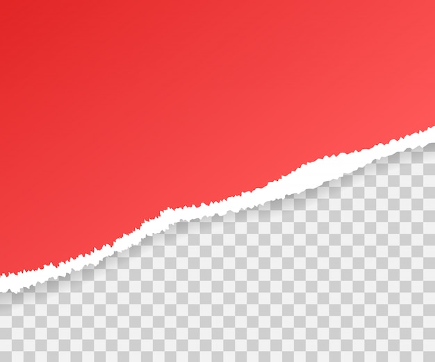 Torn paper edges, seamless horizontally Vector | Premium Download Torn paper edges, seamless horizontally Vector | Premium Download