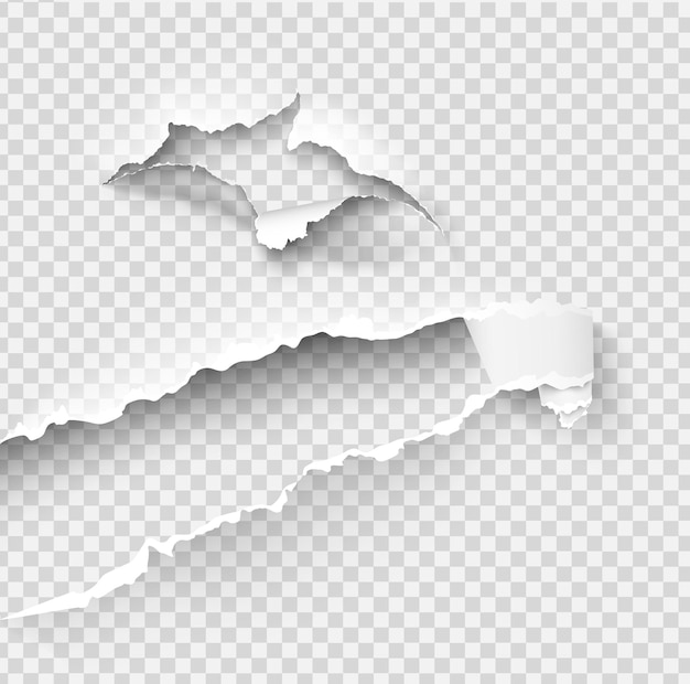 Premium Vector | Torn ripped paper. Premium Vector | Torn ripped paper.