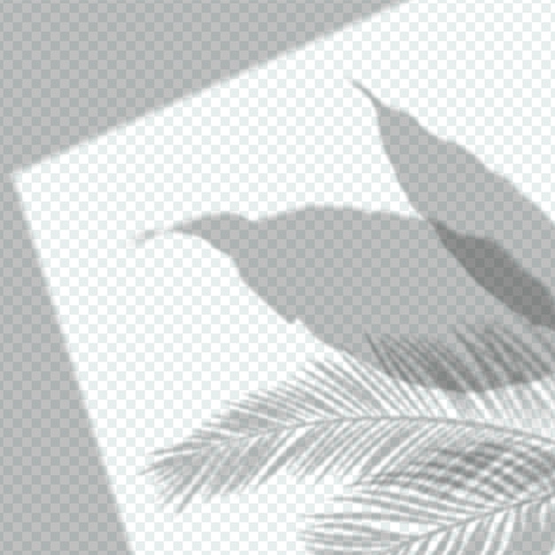 Free Vector | Transparent shadows overlay effect with plants Free Vector | Transparent shadows overlay effect with plants