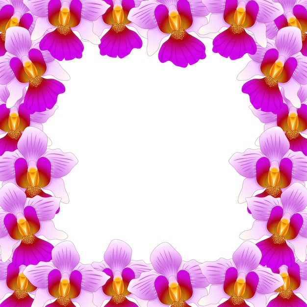 Premium Vector | Vanda miss joaquim orchid border Premium Vector | Vanda miss joaquim orchid border