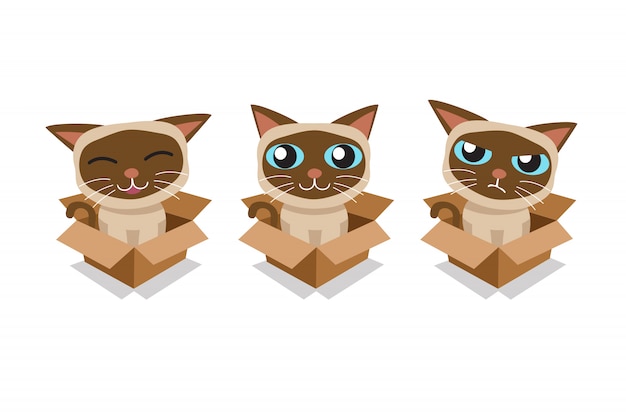 Premium Vector | Vector cartoon siamese cat Premium Vector | Vector cartoon siamese cat