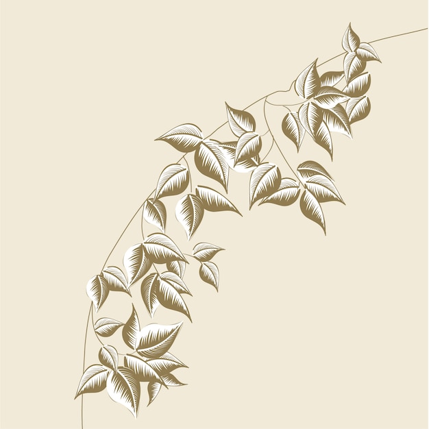 Premium Vector | Vintage leaves style Premium Vector | Vintage leaves style