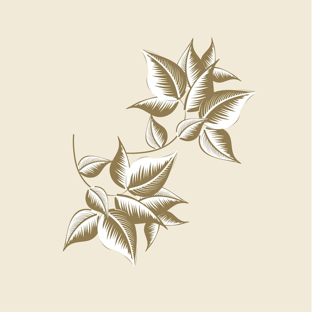 Premium Vector | Vintage leaves style Premium Vector | Vintage leaves style