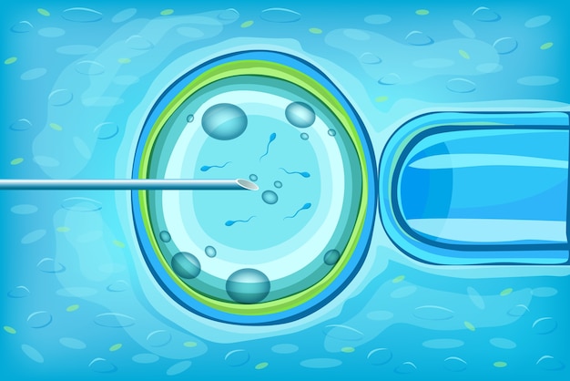 Free Vector | In vitro fertilization scientific concept Free Vector | In vitro fertilization scientific concept