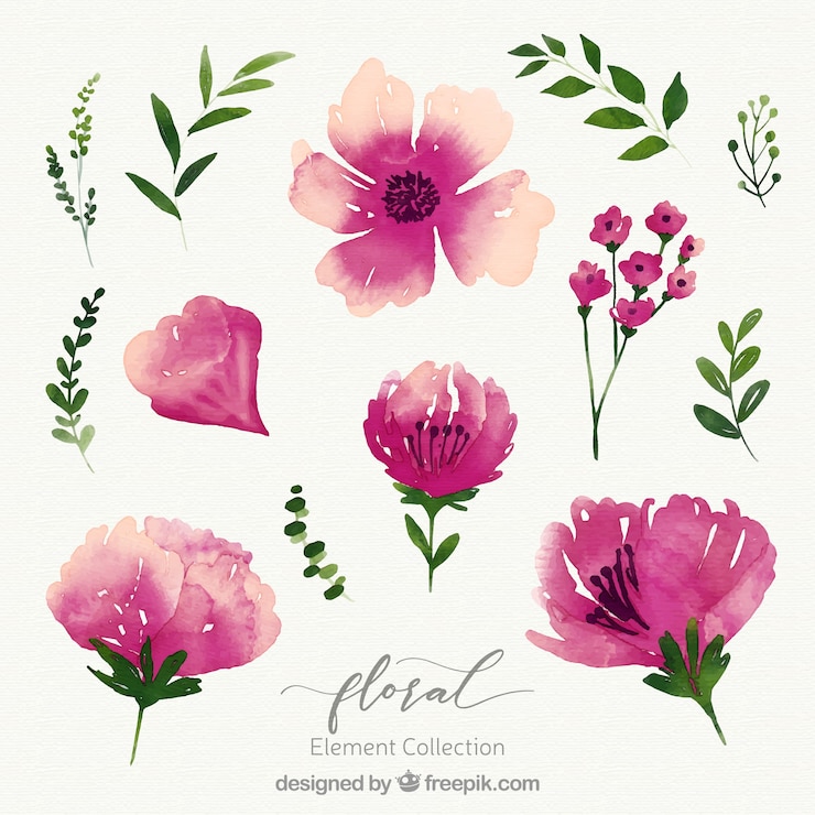 Free Vector Watercolor Floral Element Collection
