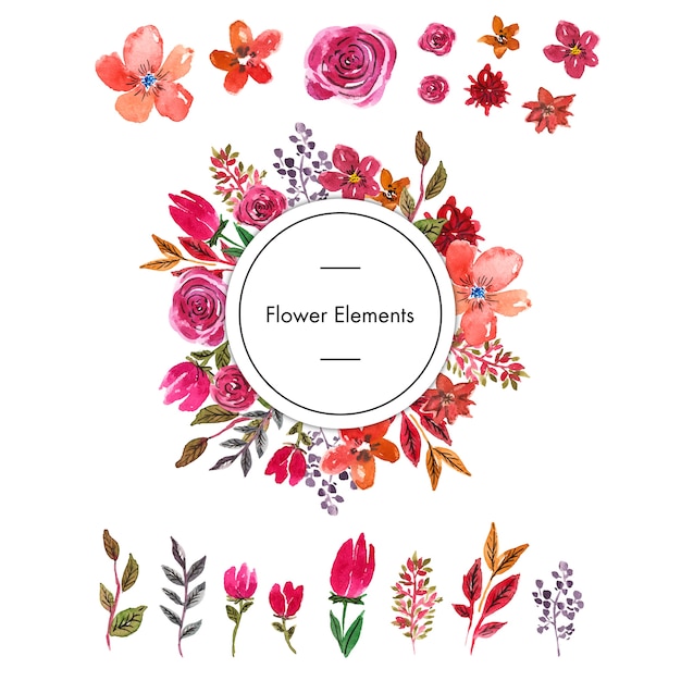 Premium Vector Watercolor Floral Elements