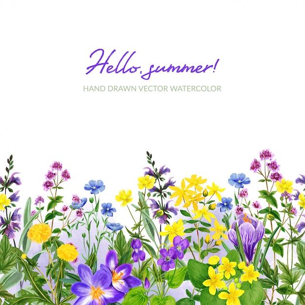 Premium Vector | Watercolor seamless border, field wild flowers and herbs Premium Vector | Watercolor seamless border, field wild flowers and herbs