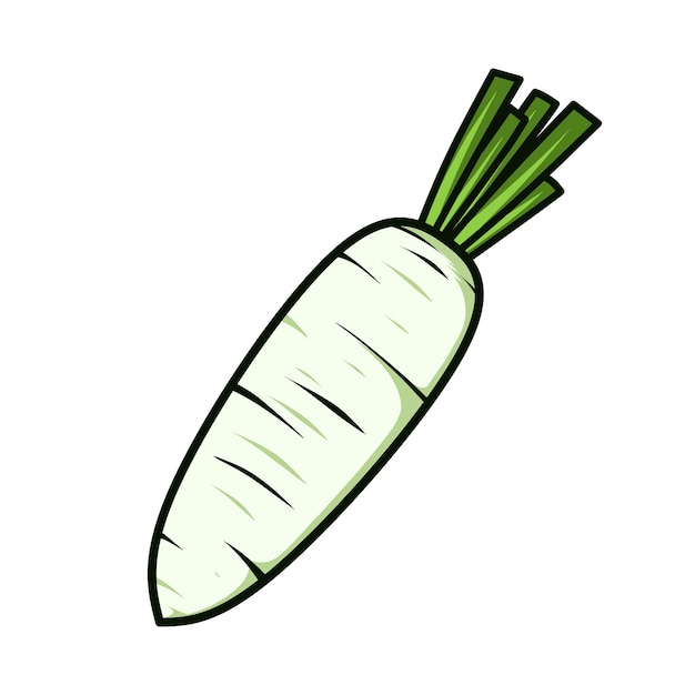 Premium Vector | White radish vegetable vector design Premium Vector | White radish vegetable vector design