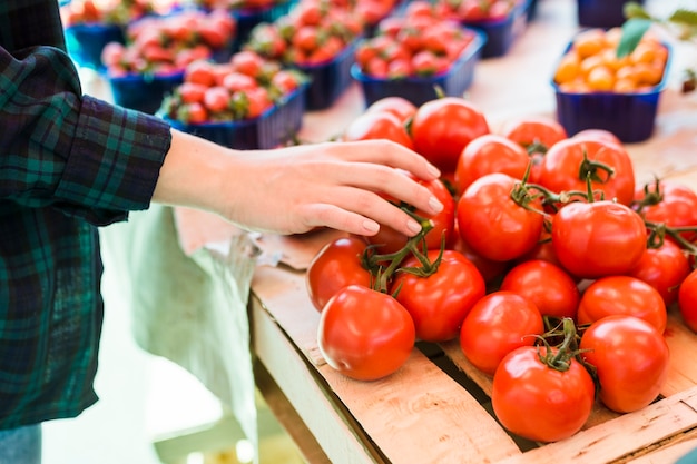 Personne qui achète des fruits et des légumes | Télécharger des Photos ... Personne qui achète des fruits et des légumes | Télécharger des Photos ...
