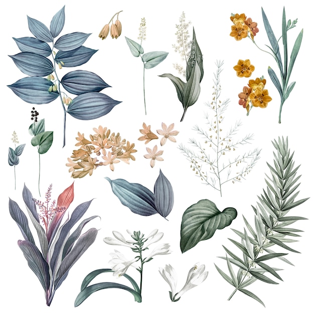 Conjunto de ilustrações de flores e plantas | PSD Grátis Conjunto de ilustrações de flores e plantas | PSD Grátis