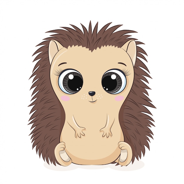 Illustration De Hérisson Mignon Bébé | Vecteur Premium Illustration De Hérisson Mignon Bébé | Vecteur Premium