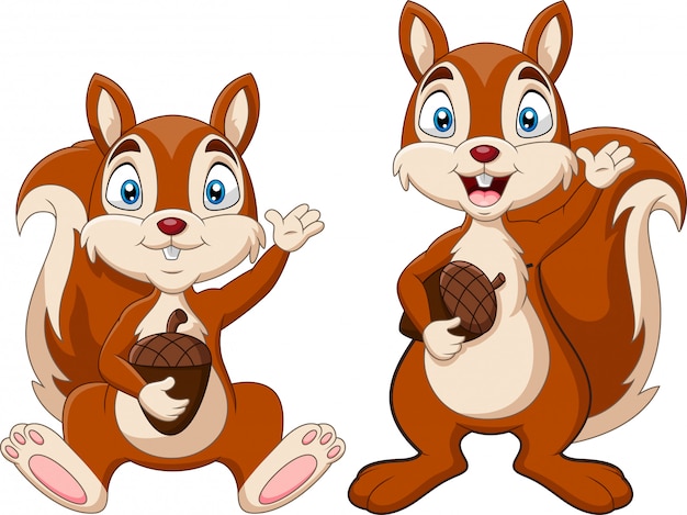 Ardilla de dibujos animados dos con tuerca | Vector Premium Ardilla de dibujos animados dos con tuerca | Vector Premium