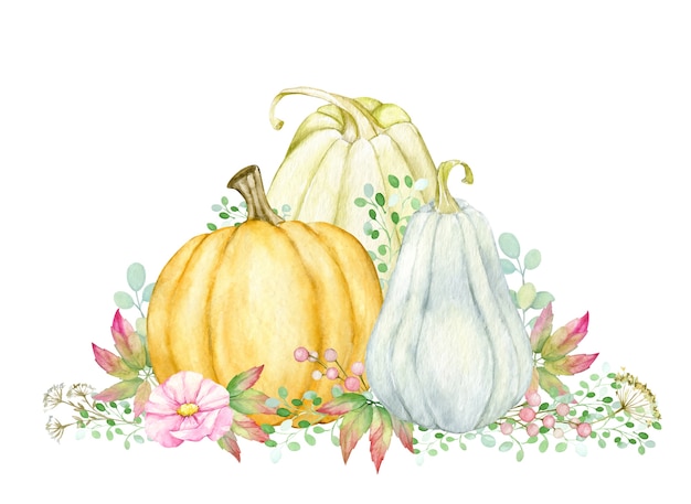 Calabazas, flores de plantas, acuarela, otoño conjunto de elementos, de ... Calabazas, flores de plantas, acuarela, otoño conjunto de elementos, de ...
