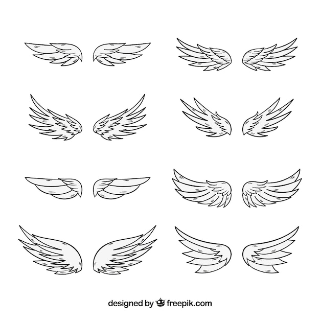 Colección de alas dibujadas a mano | Vector Gratis Colección de alas dibujadas a mano | Vector Gratis