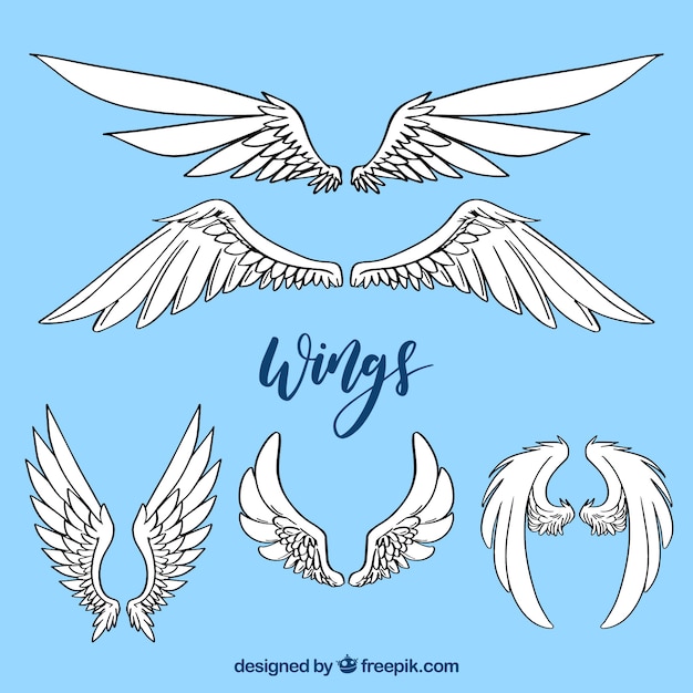 Colección de alas dibujadas a mano | Vector Gratis Colección de alas dibujadas a mano | Vector Gratis