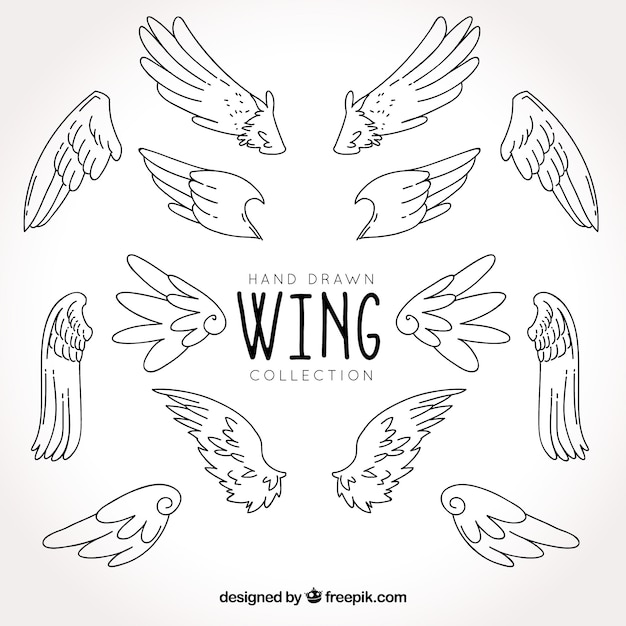 Colección de alas dibujadas a mano | Vector Gratis Colección de alas dibujadas a mano | Vector Gratis