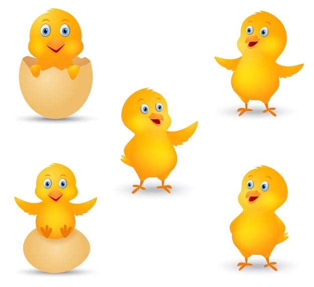 Colección de dibujos animados de pollitos felices | Descargar Vectores ... Colección de dibujos animados de pollitos felices | Descargar Vectores ...